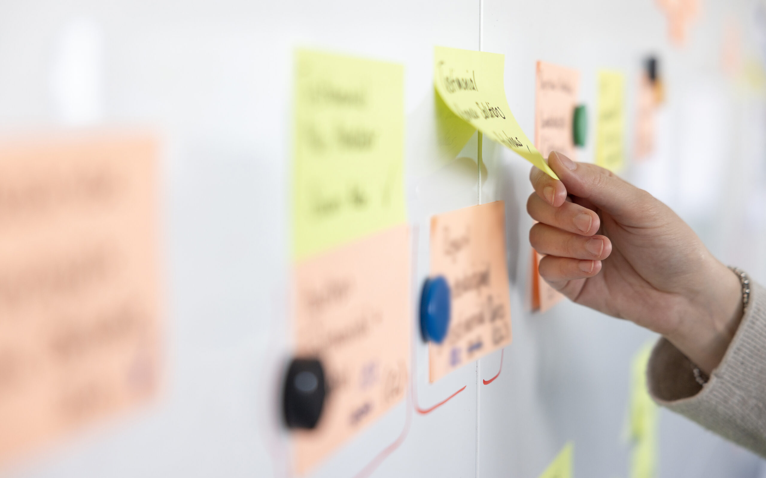 Change Influencer gesucht - Skillsgarden